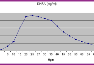 What is DHEA? Why and How to use itWhat is DHEA? Why and How to use it ...